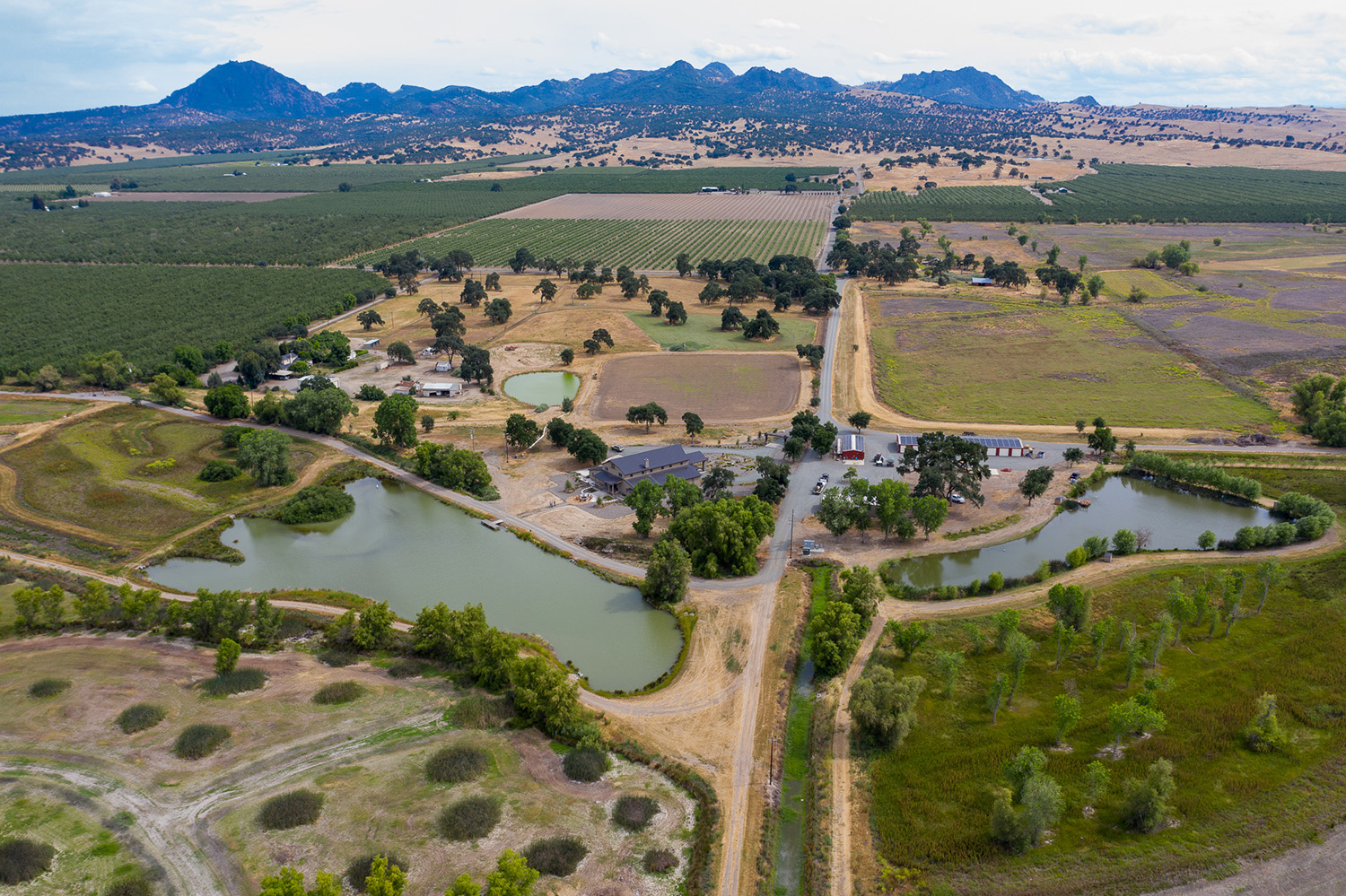 GREY LODGE FARMSBUTTE SINK, CA | ±430 ACRES(SOLD) $4,950,000 | Land X ...