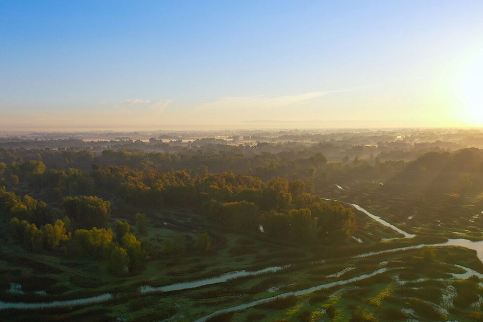 WILD GOOSE CLUBBUTTE SINK, CA | ± 1,455 ACRES$1,000,000 (SOLD) | Land X ...