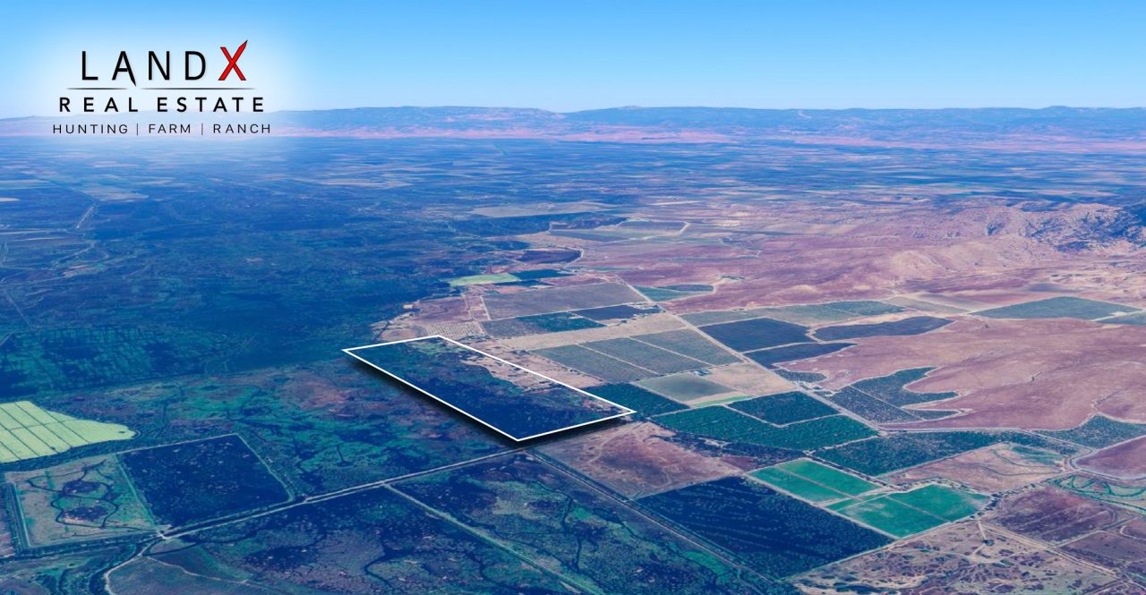 Butte Ranch Duck Club | Land X Real Estate and Construction Real Estate