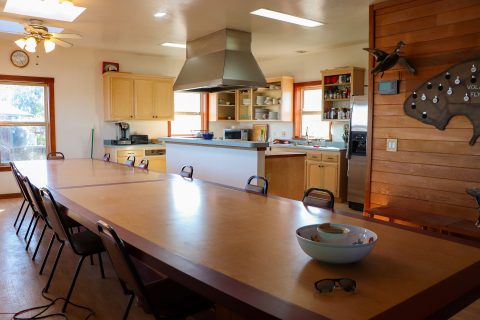 Volanti Duck Club | Suisun Marsh, CA | Land X Real Estate