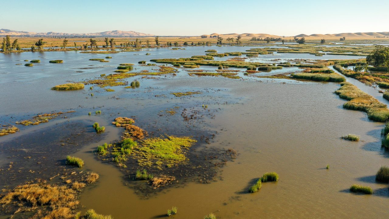 Volanti Duck Club | Suisun Marsh, CA | Land X Real Estate