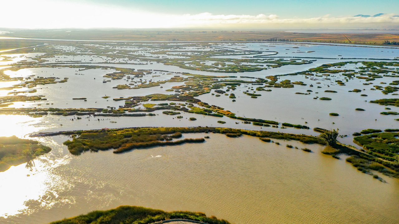 Volanti Duck Club | Suisun Marsh, CA | Land X Real Estate