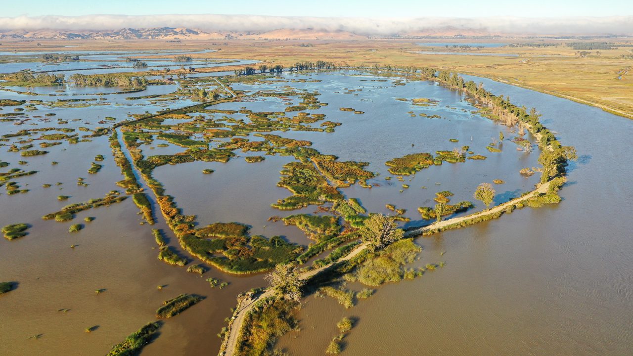 Volanti Duck Club | Suisun Marsh, CA | Land X Real Estate