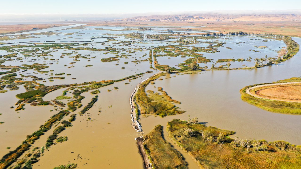 Volanti Duck Club | Suisun Marsh, CA | Land X Real Estate