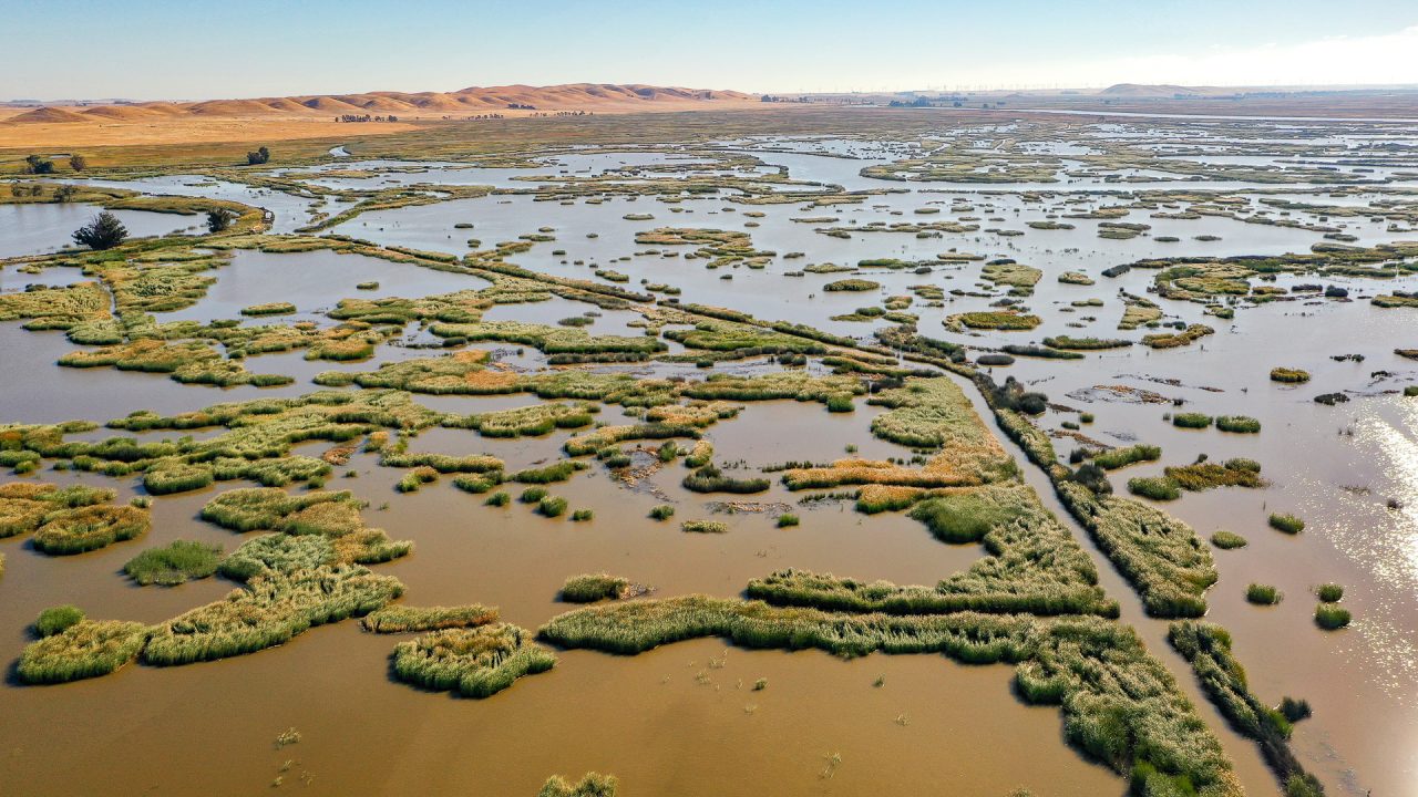 Volanti Duck Club | Suisun Marsh, CA | Land X Real Estate