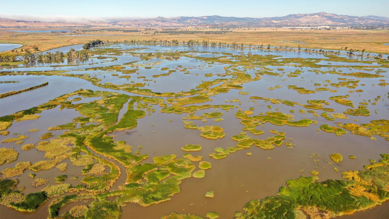 Volanti Duck Club | Suisun Marsh, CA | Land X Real Estate